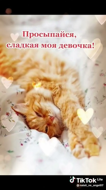 кринж видео ОТРЫВОК С МОЕГО ВТОРОГО КАНАЛА МИККИ А ЭТО ИГРОВОЙ КАНАЛ ко
