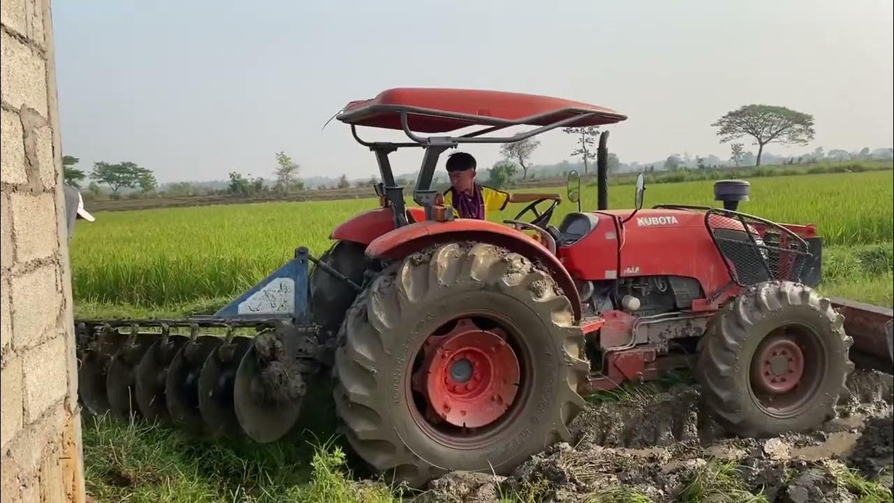 daim no yog vauv lis thiab paj huab nkawv daim nawb - YouTube