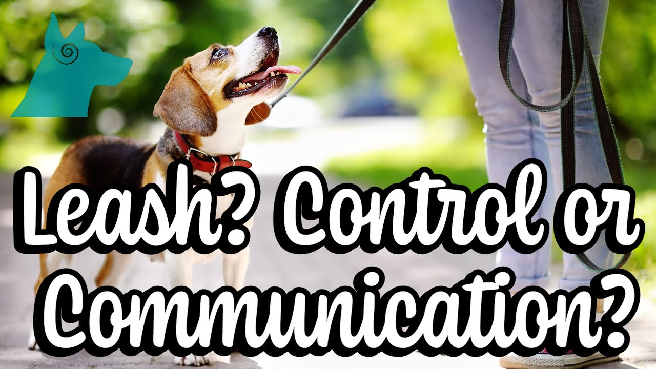How do you use a leash? Control or Communication? - YouTube