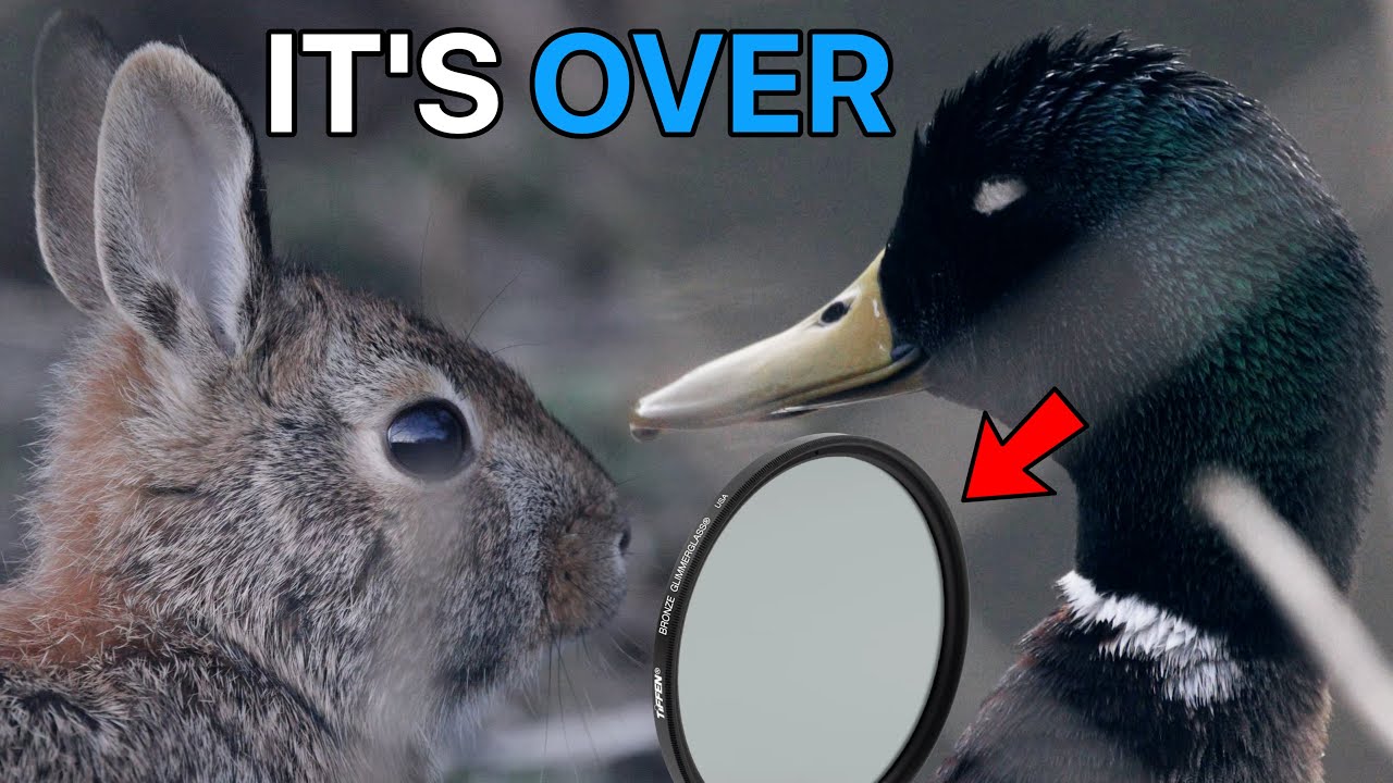 Full Cinema Achieved (C70 + R5 II For Wildlife Movies) - YouTube