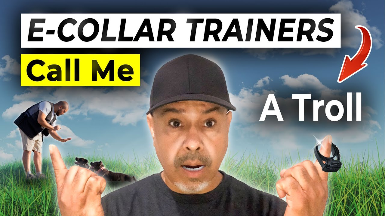 E collar trainers call me an Internet troll - YouTube