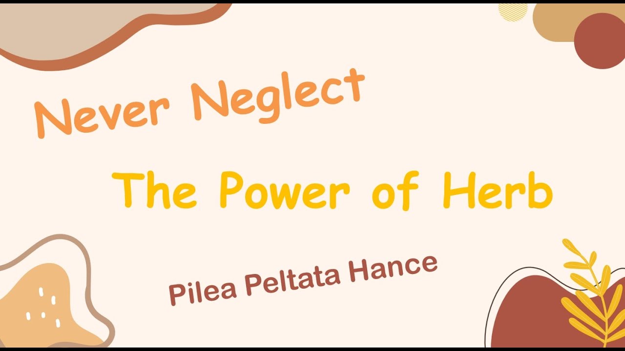 Herb Analysis 102 - YouTube