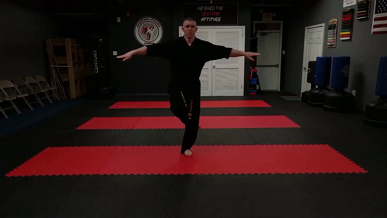 Advance Red Belt to Cho Dan Bo Form - Nahanchi Cho Dan - YouTube