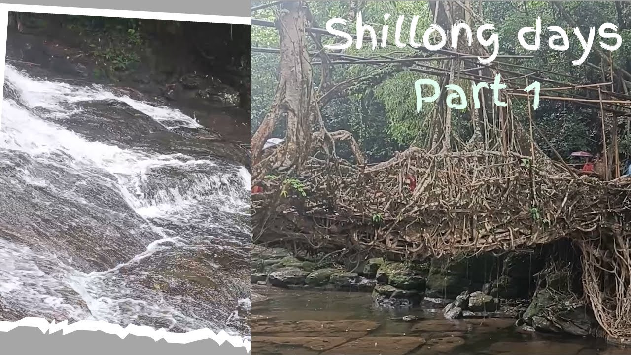Shillong Days part 1. Exploring Shillong. Living root bridge at ...