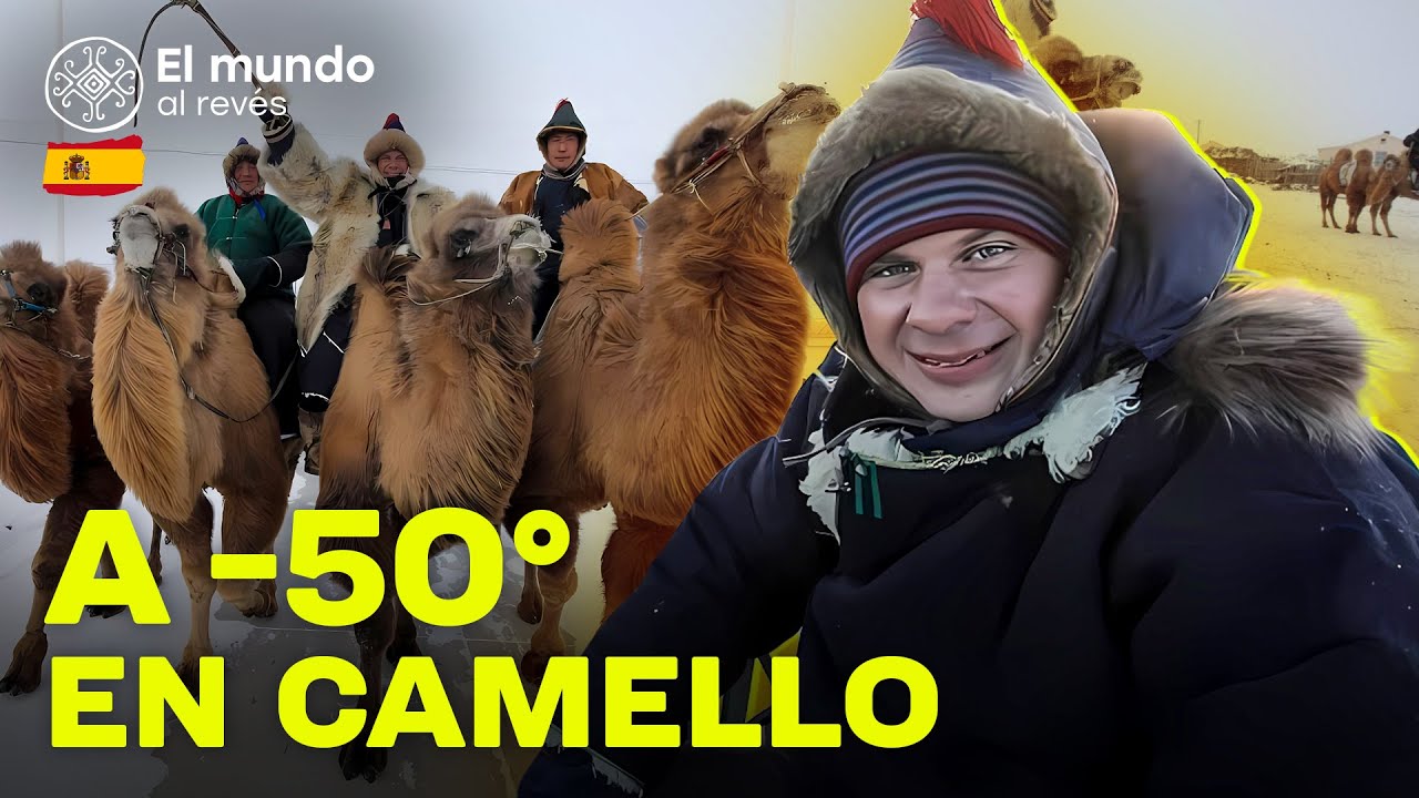 Caminar a -50 en camello y ¿cómo escapan del frío los mongoles? El ...