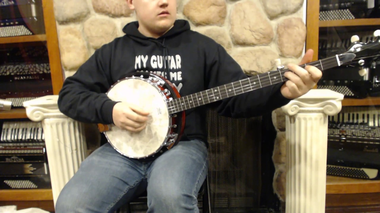 HOHARB40M - New Hohner Resonator back 5-String Banjo with Gig Bag ARB40 ...