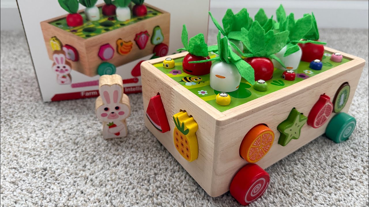 Montessori Wooden Toy for Toddlers 🧸 | Shape Sorting & Fine Motor ...