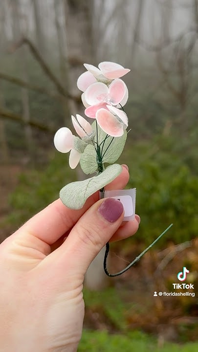 🌸 Spring Shell Sensation! 🌊 - YouTube