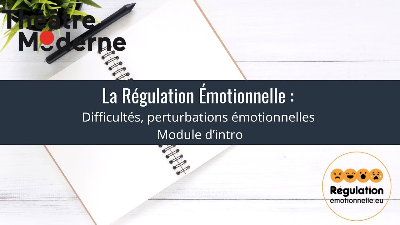 La régulation émotionnelle pour quelles difficultés ou perturbations ...