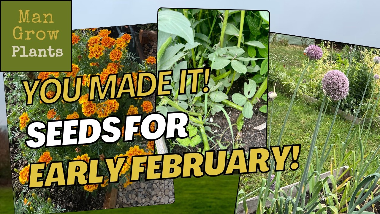 The First seeds to start in February, beginner friendly! - YouTube