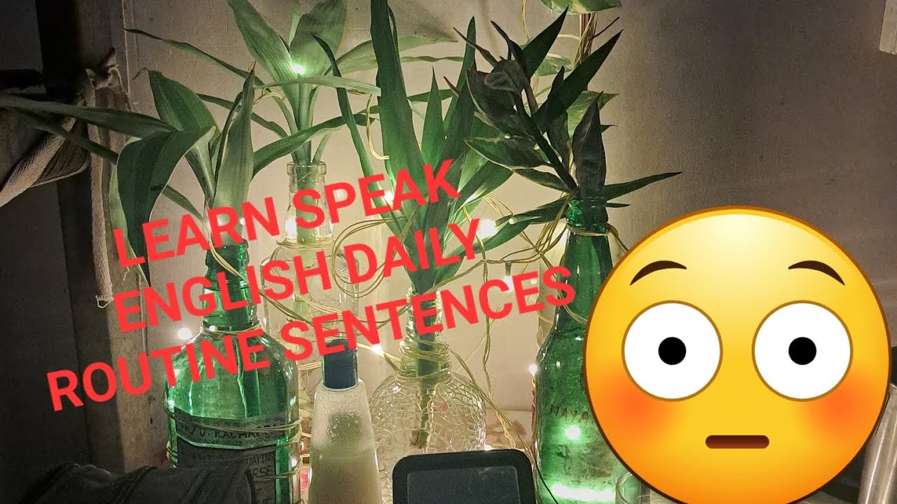 learn speak english daily life|learn speak english daily routine ...