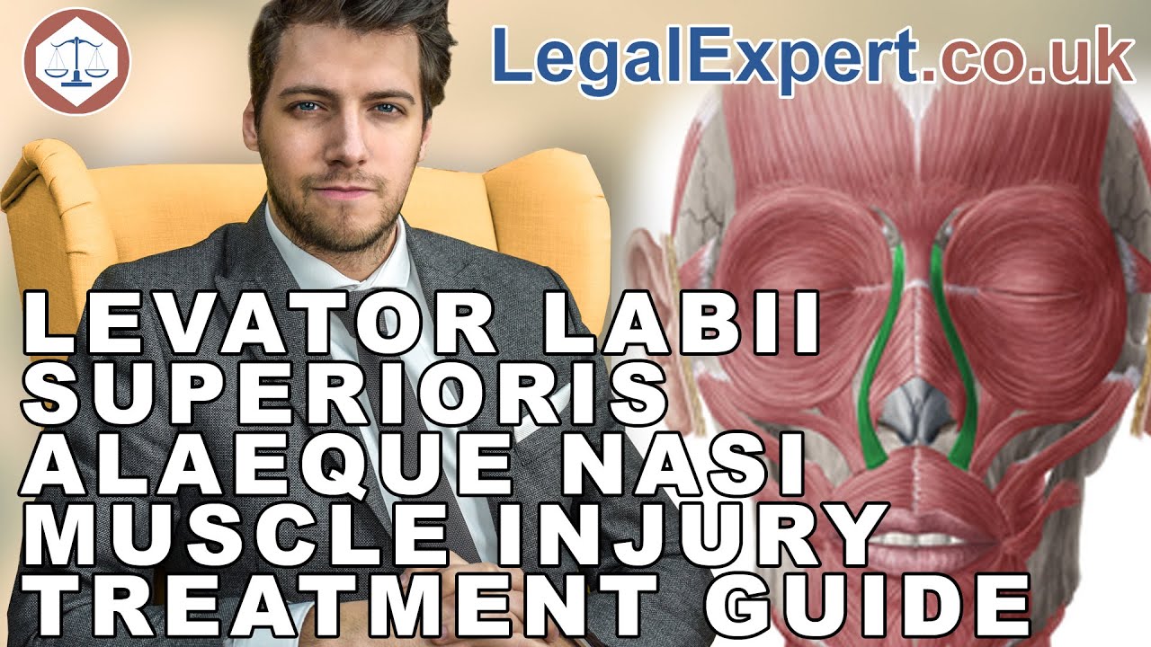 Levator Labii Superioris Alaeque Nasi Muscle Injury Treatment Guide ...
