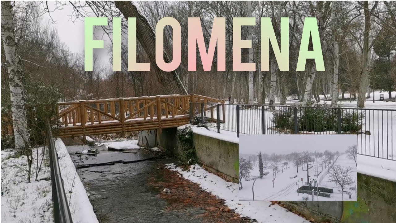 FILOMENA : Nieve en MADRID por la borrasca ~ Gran nevada del siglo en ...
