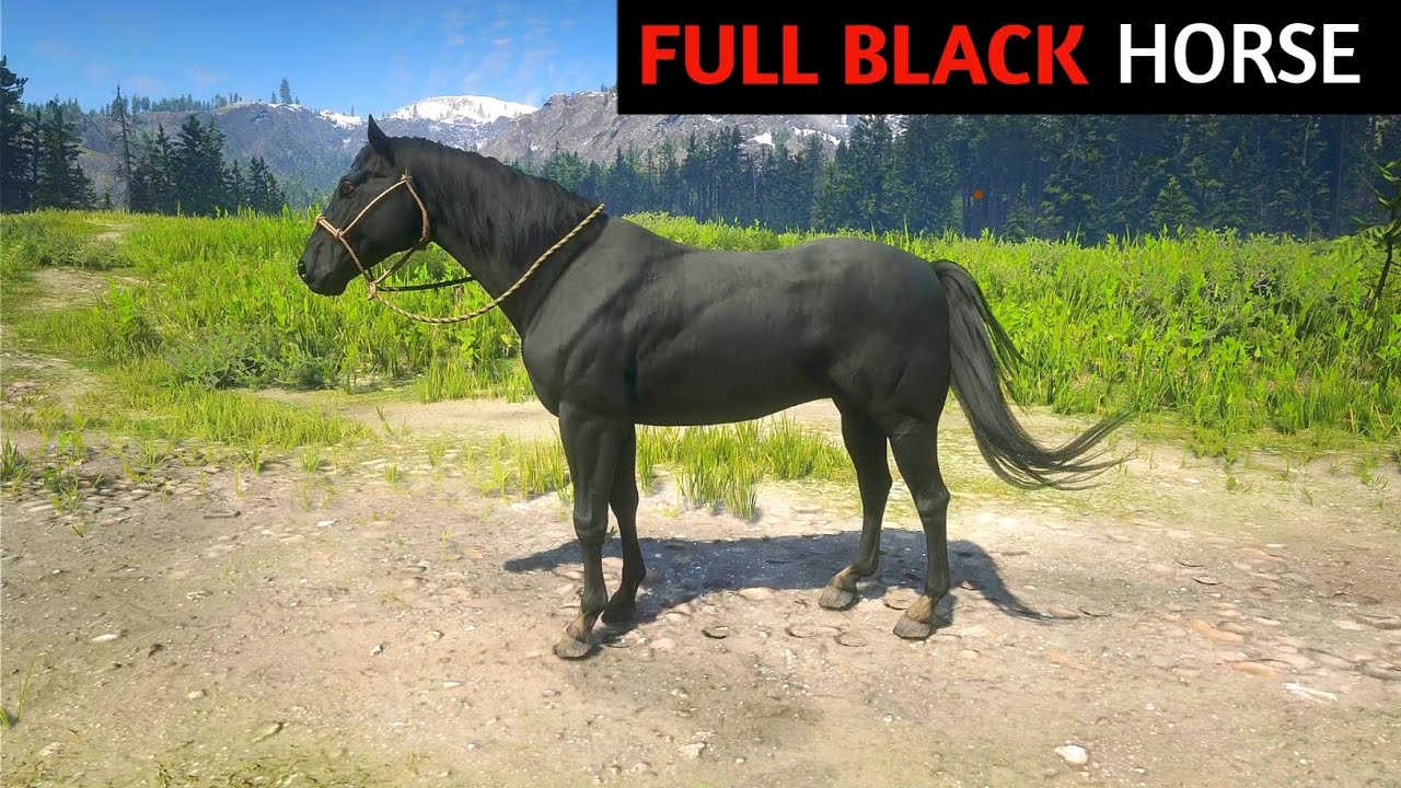 Full Black Rare Race Horse Location - RDR2 - YouTube