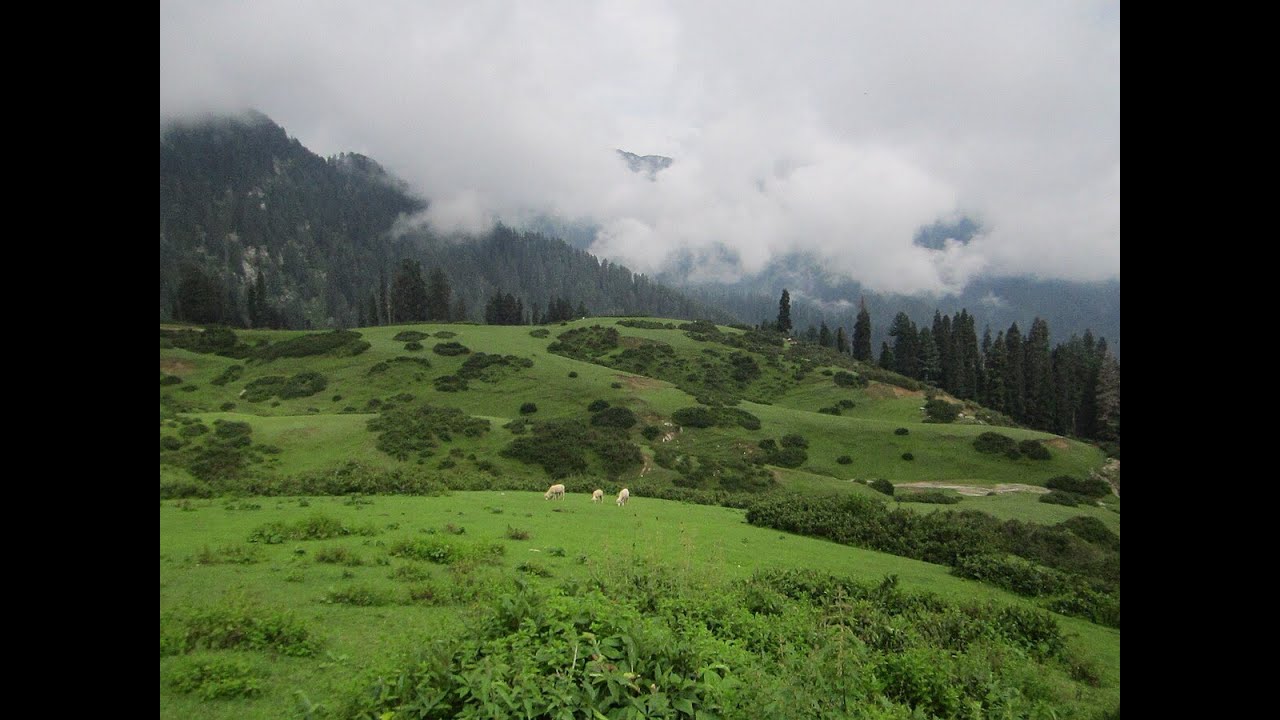 Swat ke khubsurat valley #foryou #kalamvalley120#swatvalleybeauty - YouTube