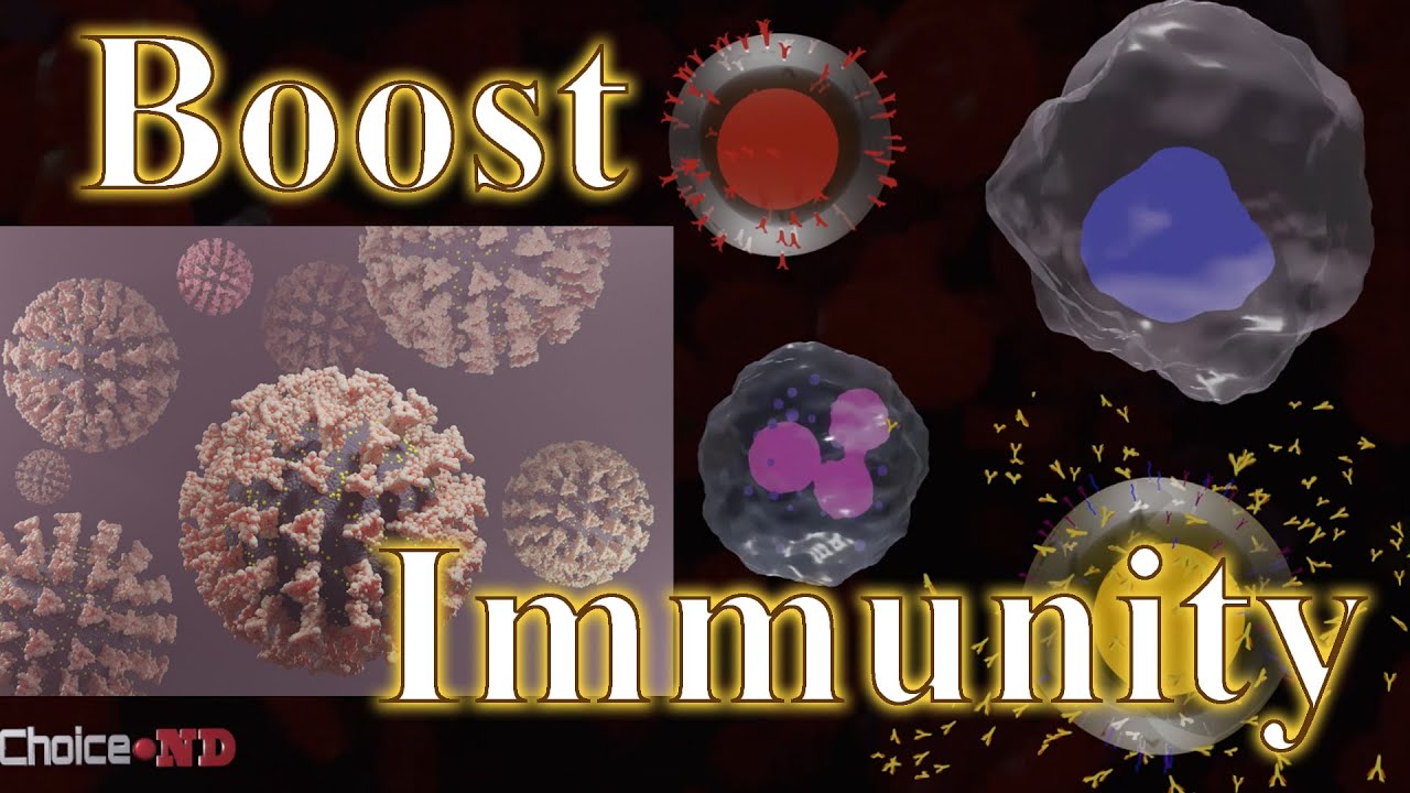 Principles of Boosting Immune function - YouTube