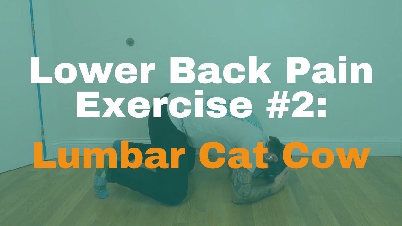 5 Best Lower Back Exercises: #2 Lower Back Exercises: Lumbar Cat Cow ...