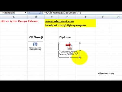 Excel'de Hücreye Dosya veya Resim Ekleme Nasıl Yapılır
