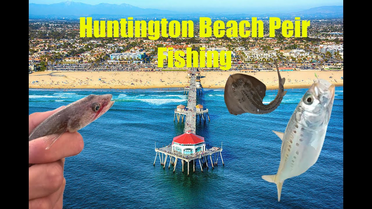 Huntington Beach California Pier Fishing - YouTube
