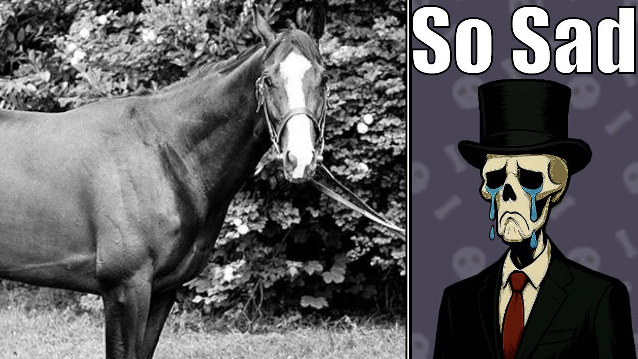 The Tragic Story of Shergar - YouTube