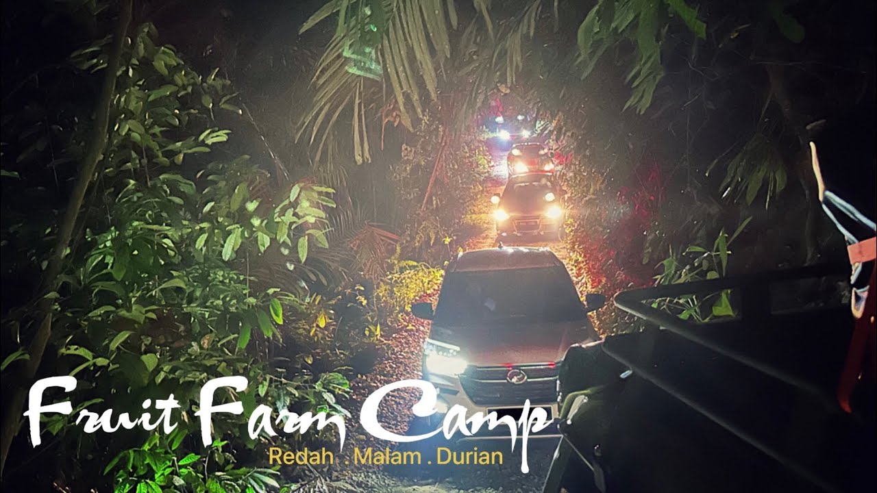 Fruit Farm Camp | Redah . Malam dan Durian - YouTube