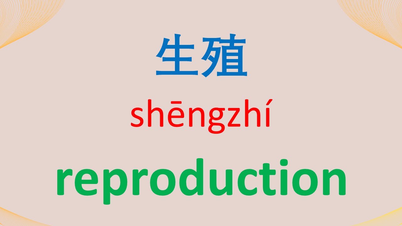 Ep33. learn english for chinese | how to practice speaking Chinese and ...