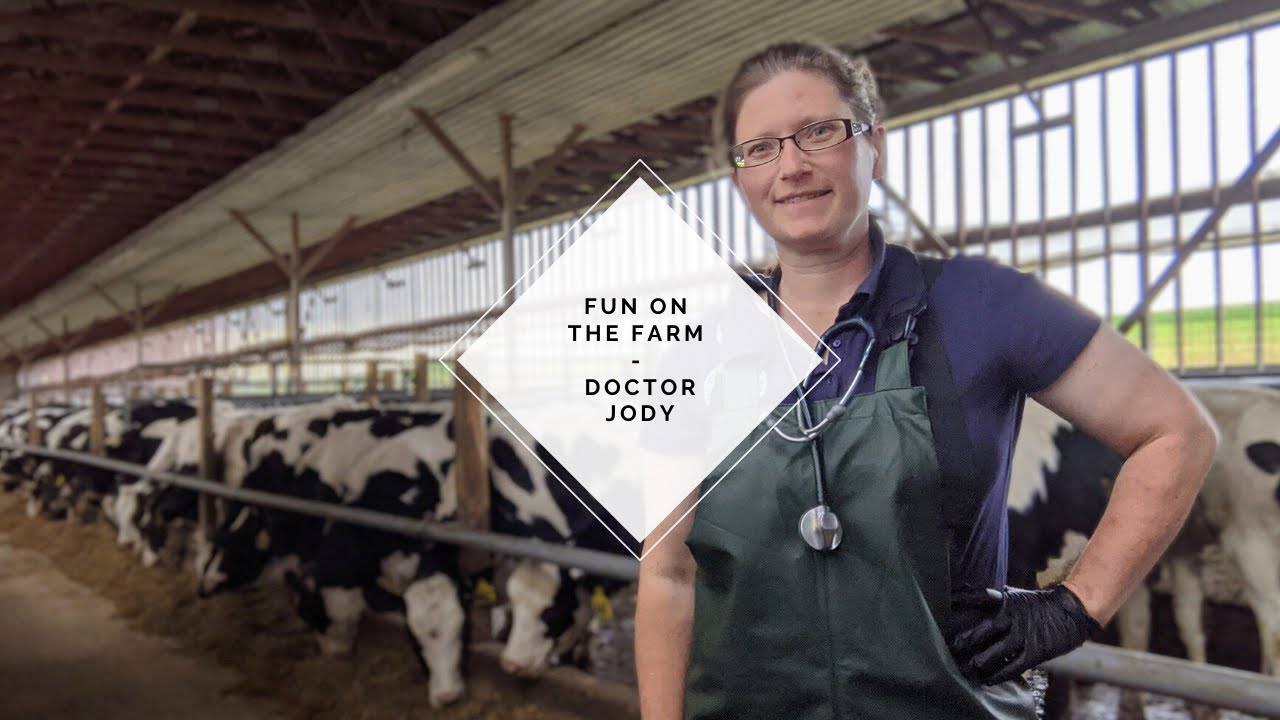 Fun on the Farm | Doctor Jody - YouTube