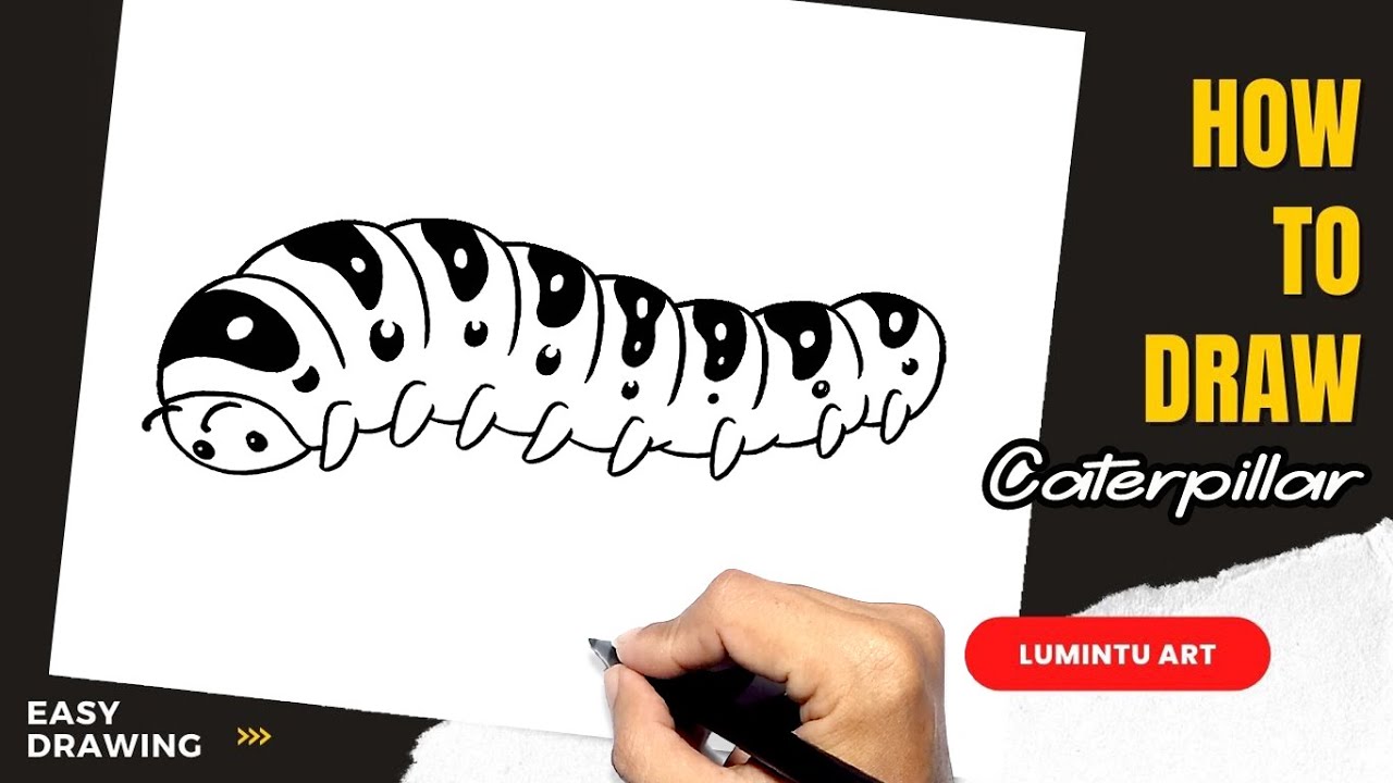 How to draw Caterpillar - Easy Caterpillar Drawing - YouTube