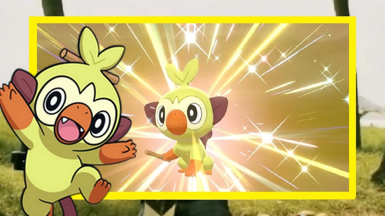 Shiny Grookey/Ouistempo after 1,744 Eggs !! // (Shield) - YouTube