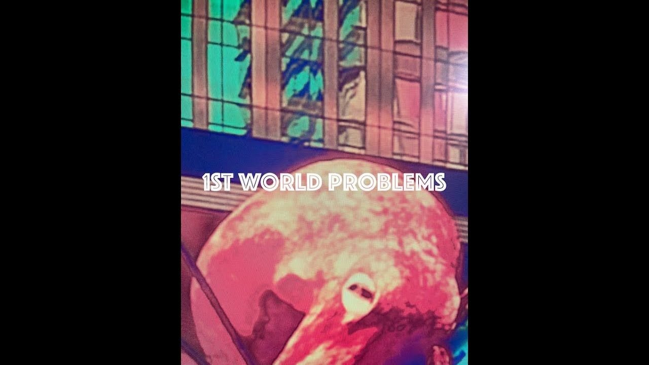 1ST WORLD PROBLEMS - YouTube