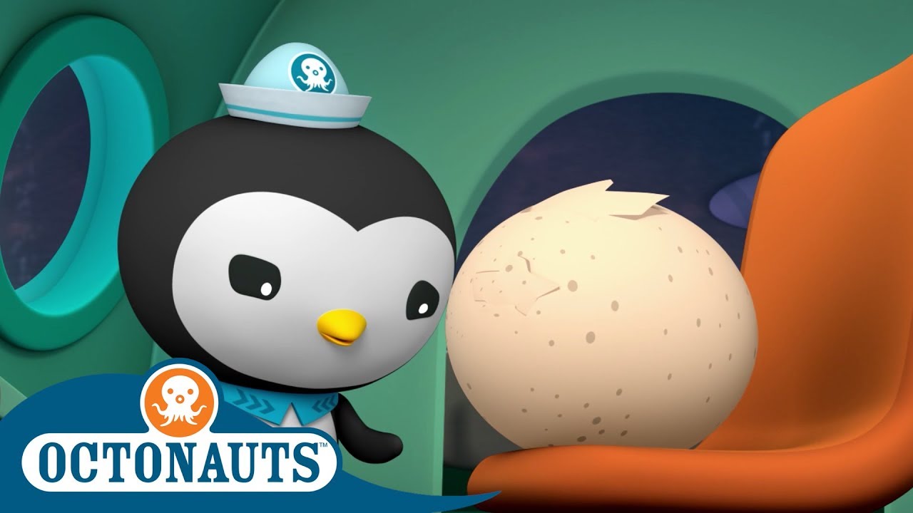 #StayHome Octonauts - The Mysterious Egg | Compilation | Cartoons for ...