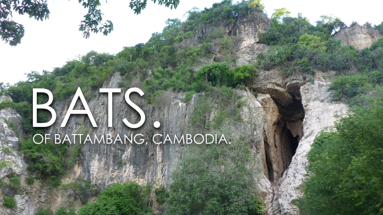 BATS. / Battambang, Cambodia / August, 2015 - YouTube