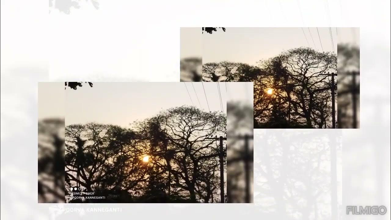 Nature In Its Simplest Form nature video photography YouTube nature-in-its-simplest-form-nature-video-photography-youtube