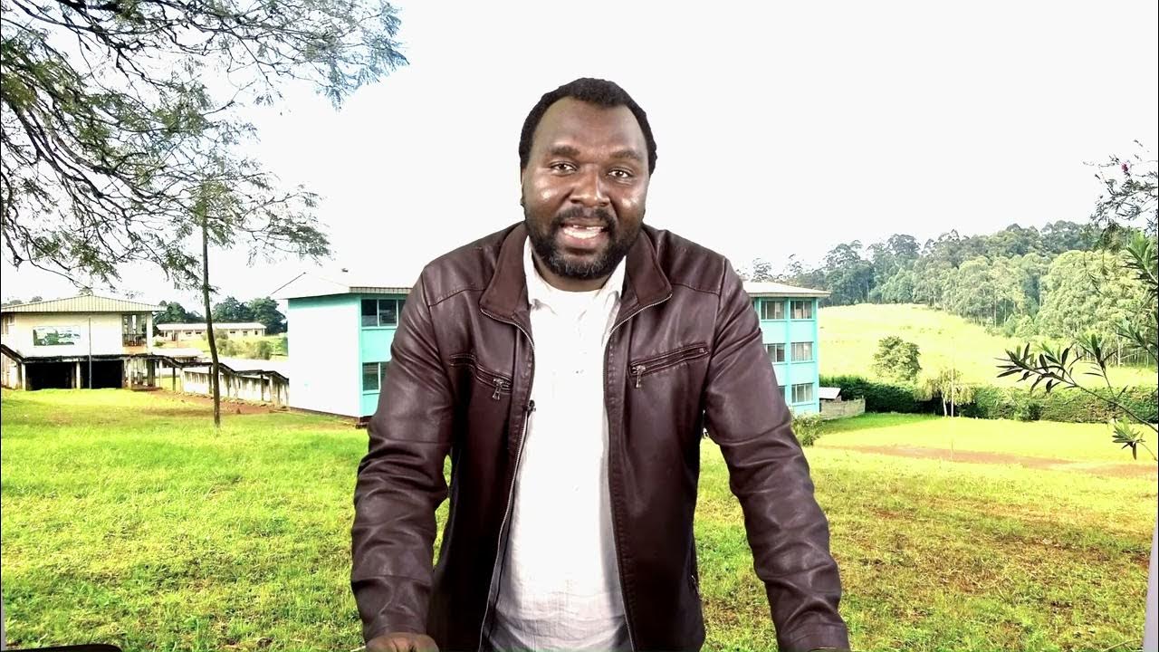 Binju - YouTube