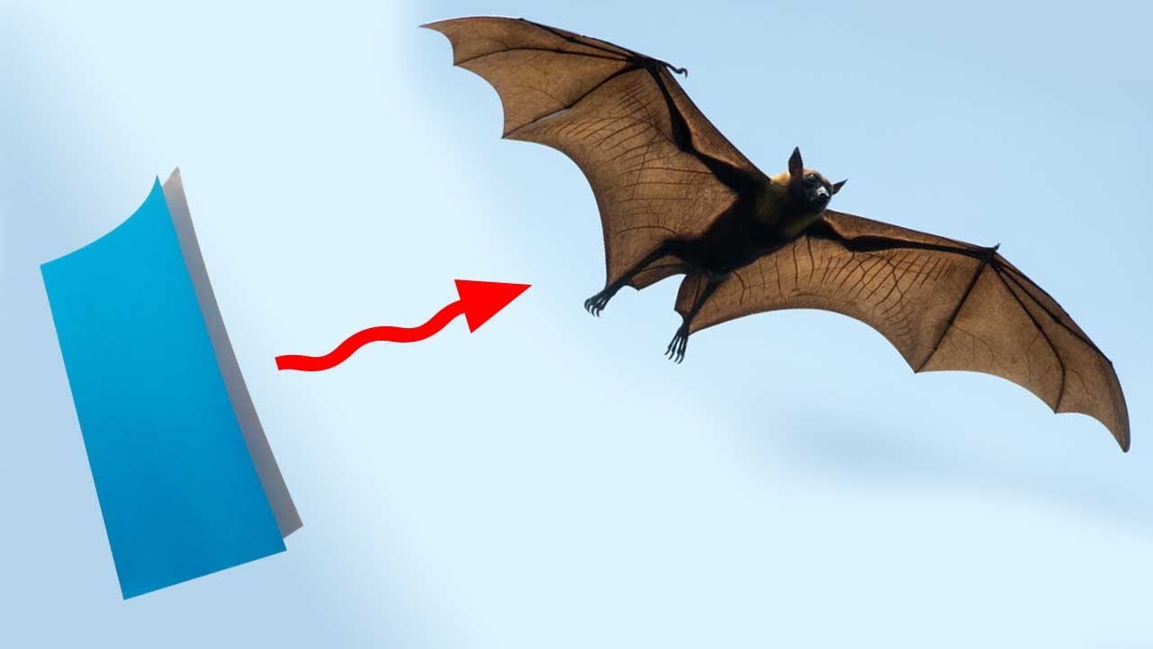 How to make a paper flying bat with sound from craft paper | Paper ...