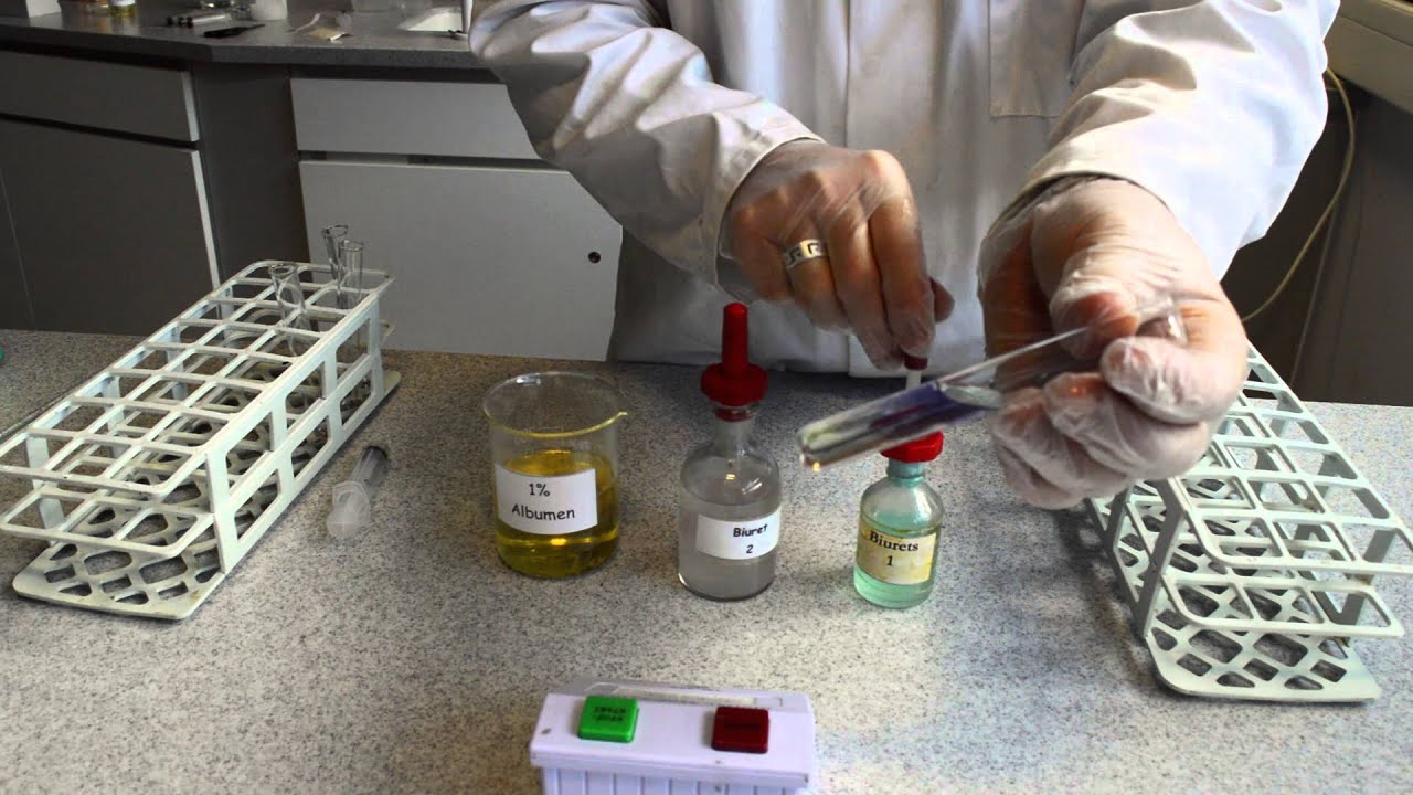 food-test-youtube