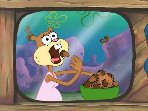 Sandy Teaches (And Demonstrates) hibernation