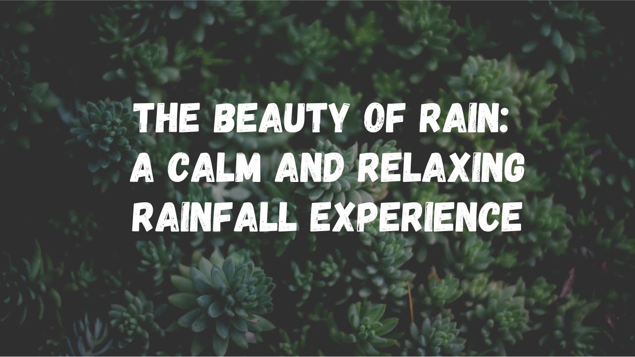 The Beauty of Rain A Calm and Relaxing Rainfall Experience - YouTube