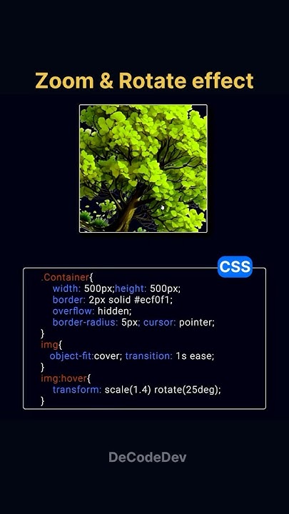 Zoom and Rotate Effect Animation #css #frontend #html #interviewprep #coding - YouTube
