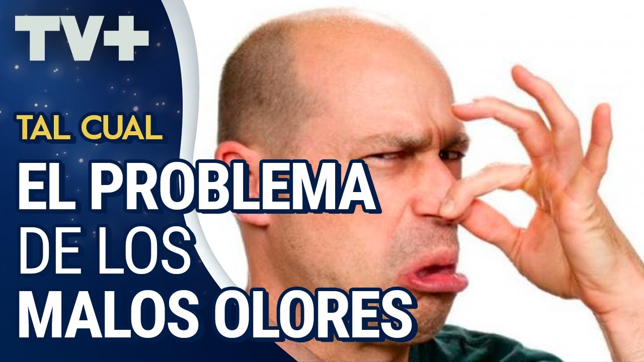 El problema de los malos olores - YouTube