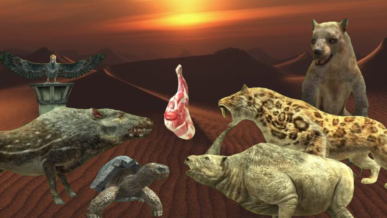 Animals On Desert | Kids Freak #animals #hunting #kids - YouTube