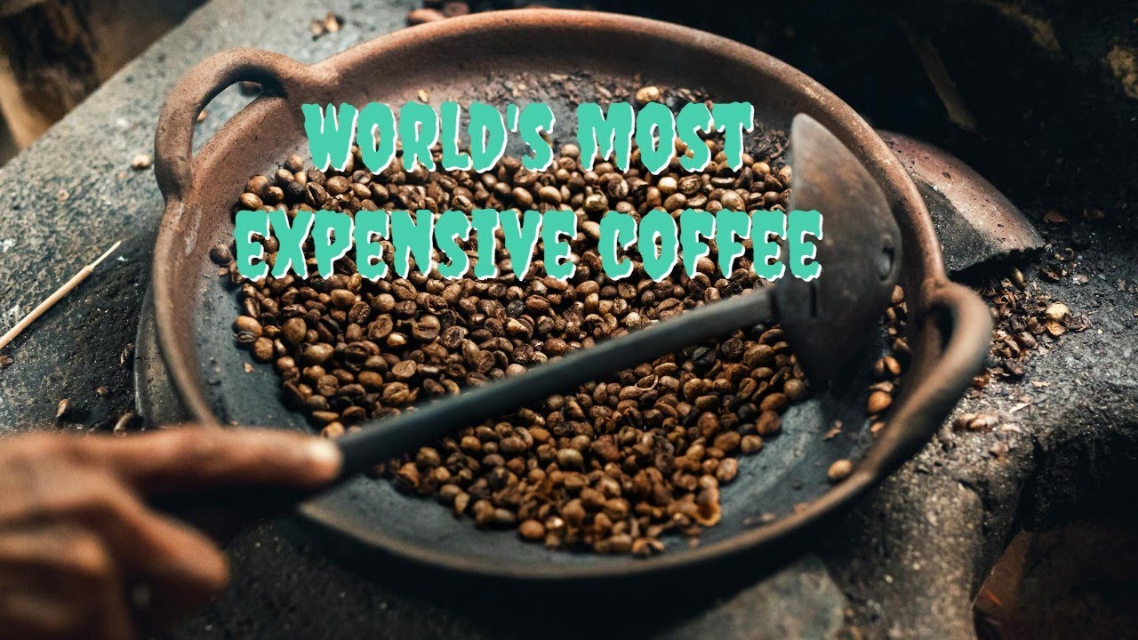 Sipping Luxury The World's Most Expensive coffee beans #coffeebeans # ...