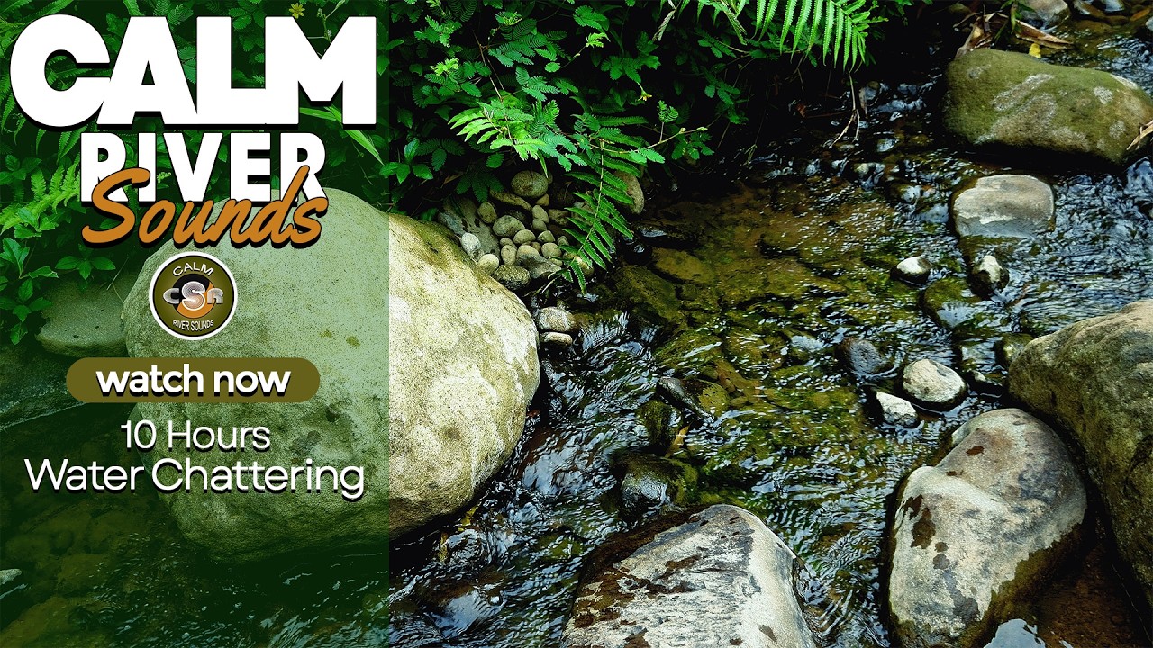 Water Chattering Quiet Over a Shallow Rocky Stream, Soothing Sound to ...