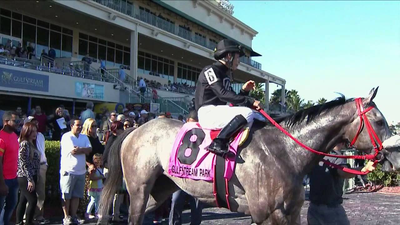X Y Jet Set for Gulfstream Park Sprint - YouTube