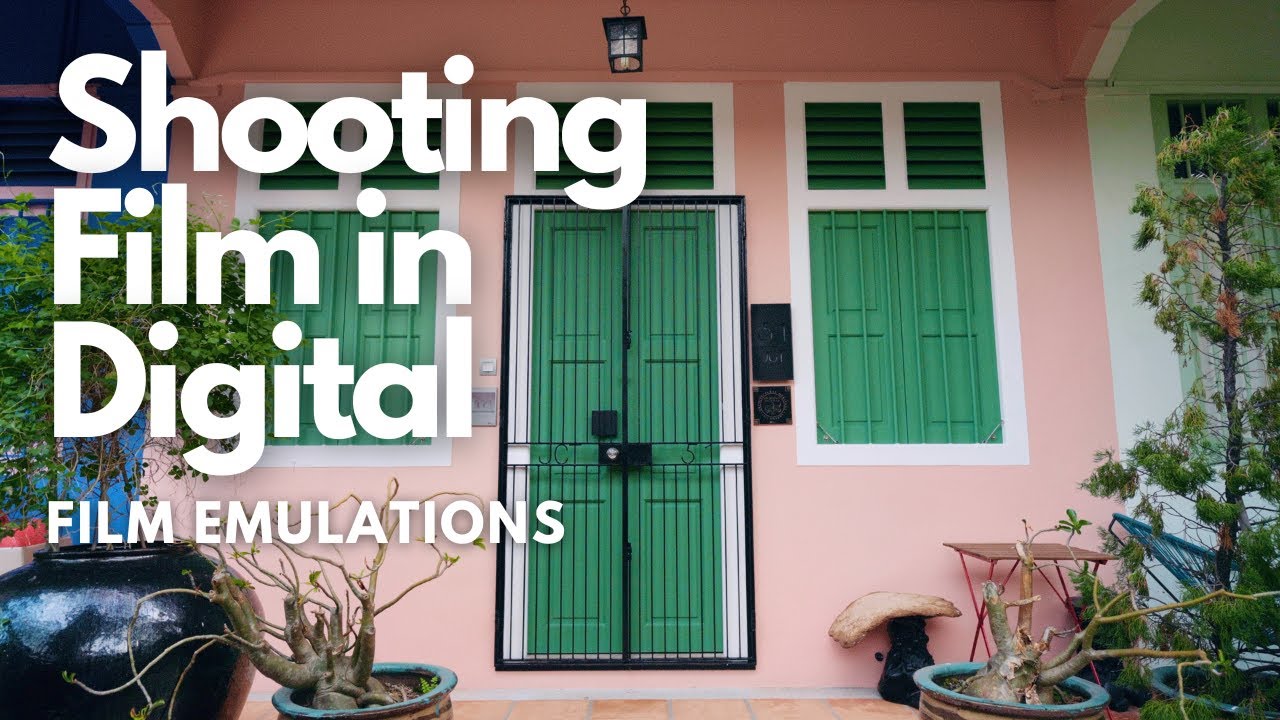 Film emulation with Filmconvert Nitrate test shots: Walking around in ...