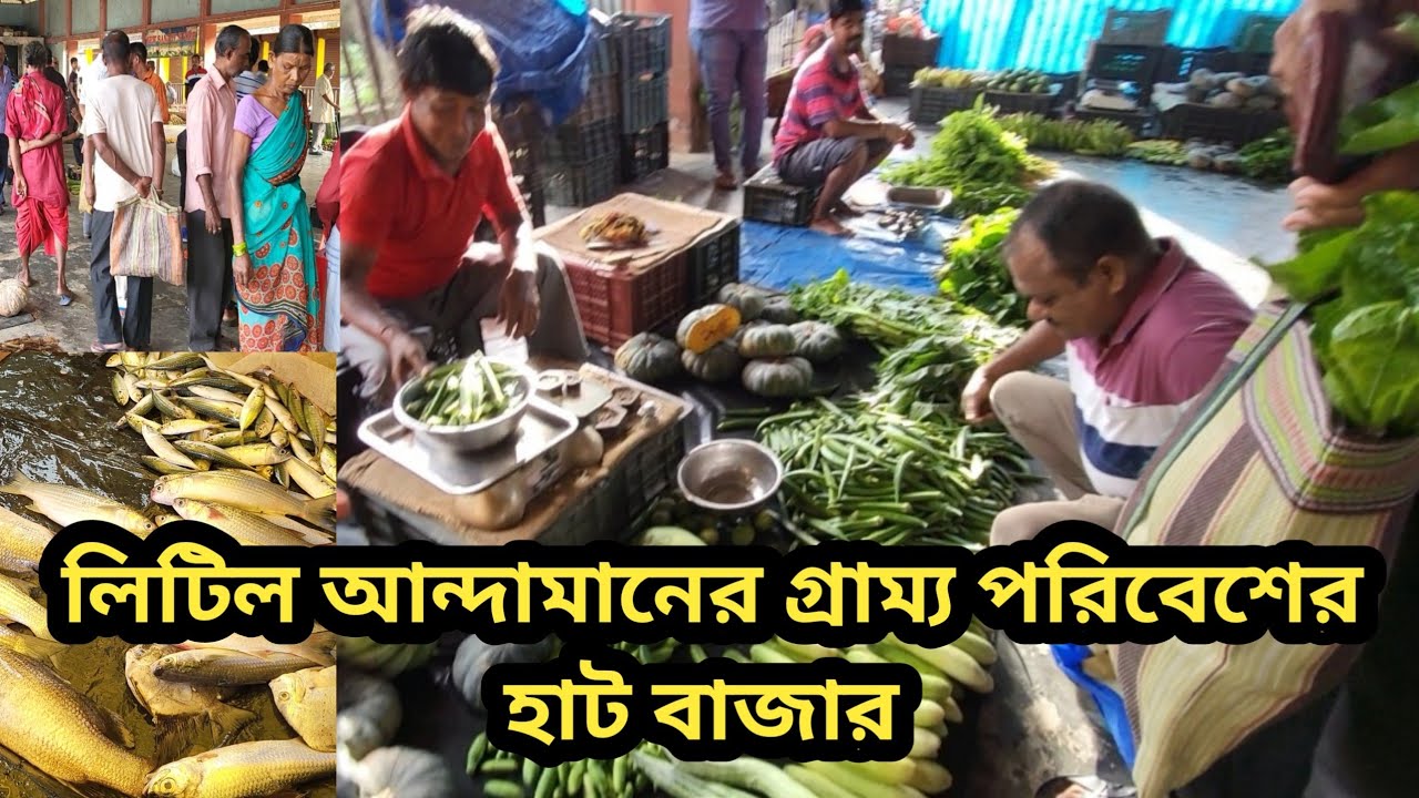 লিটিল আন্দামানের গ্রাম্য পরিবেশে বাঙালি হাট বাজার Little Andamaner grammo poribesh bangali hat ...