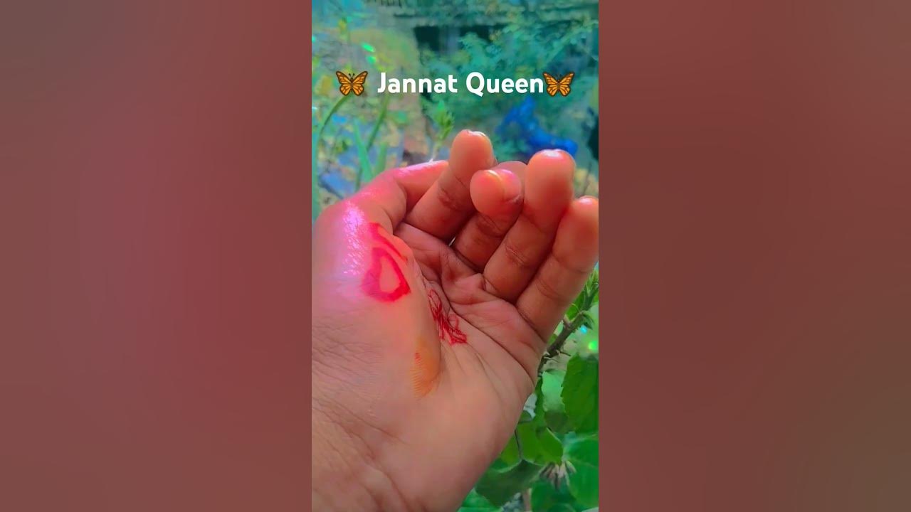 🦋 Jannat Queen 🦋 - YouTube