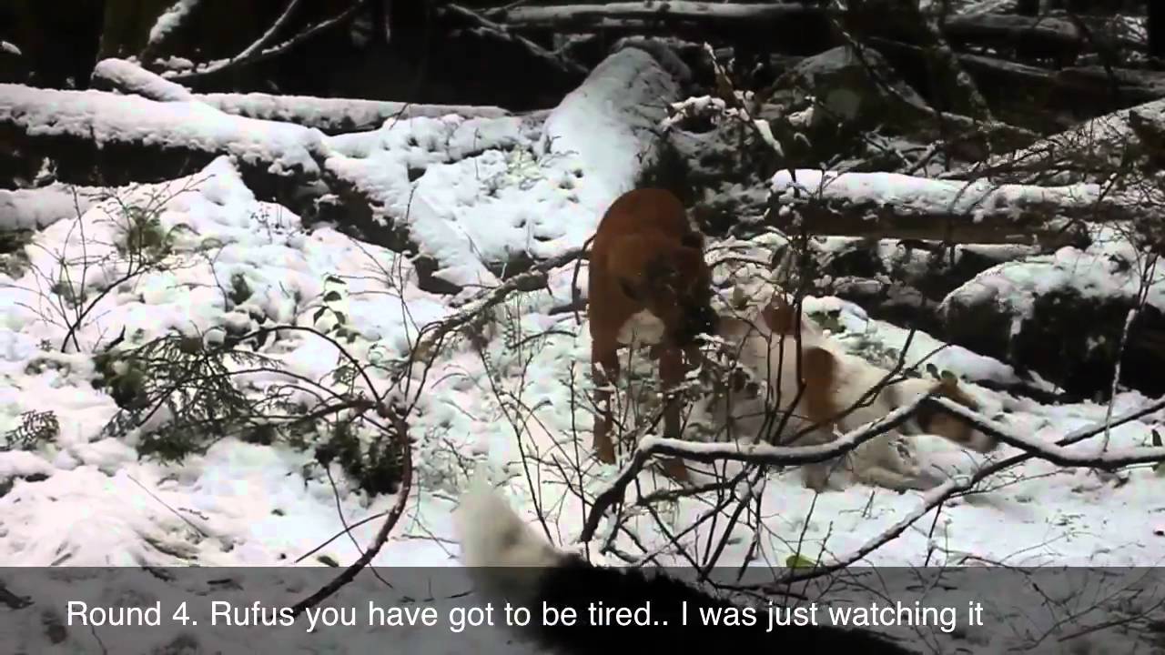 April 28th 2011 - YouTube