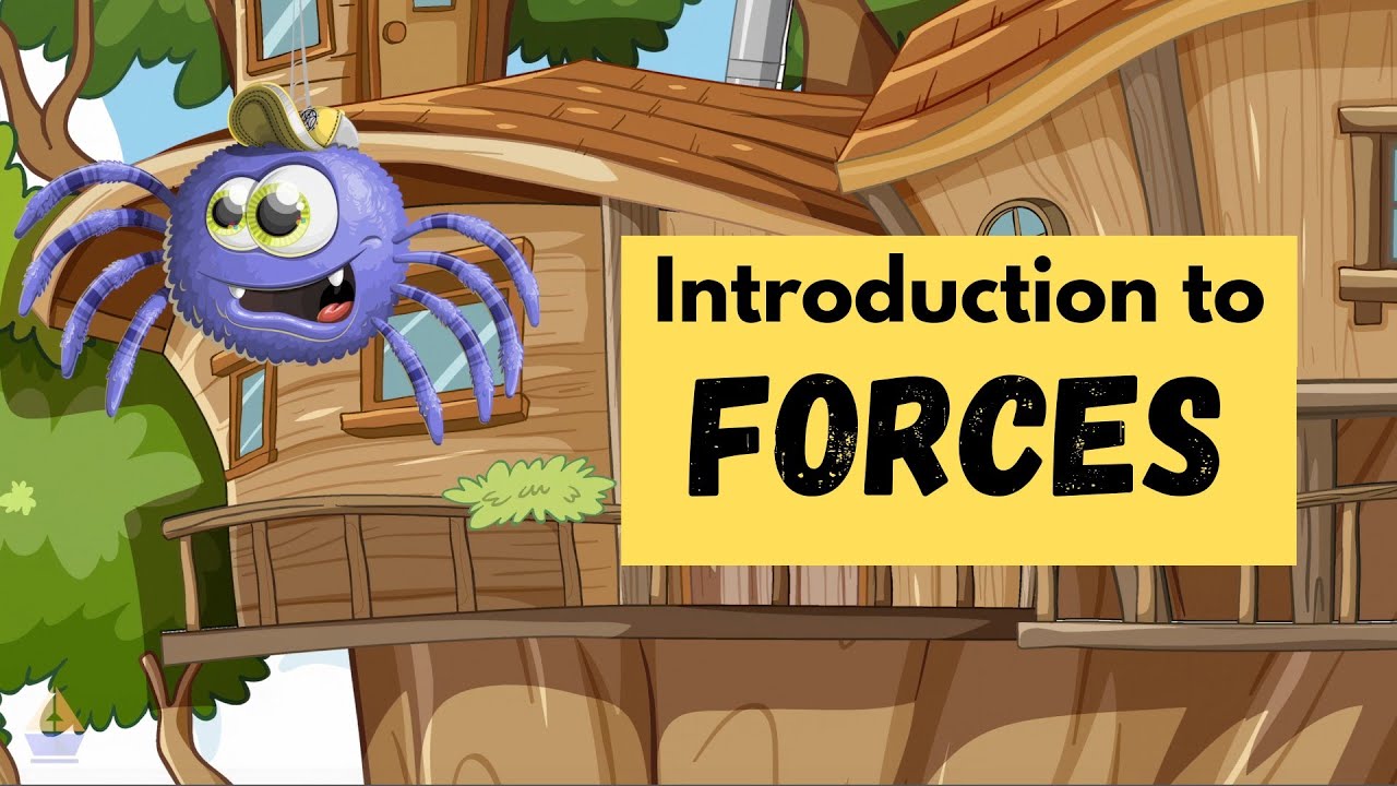 3rd Grade Science: Introduction to Forces - YouTube