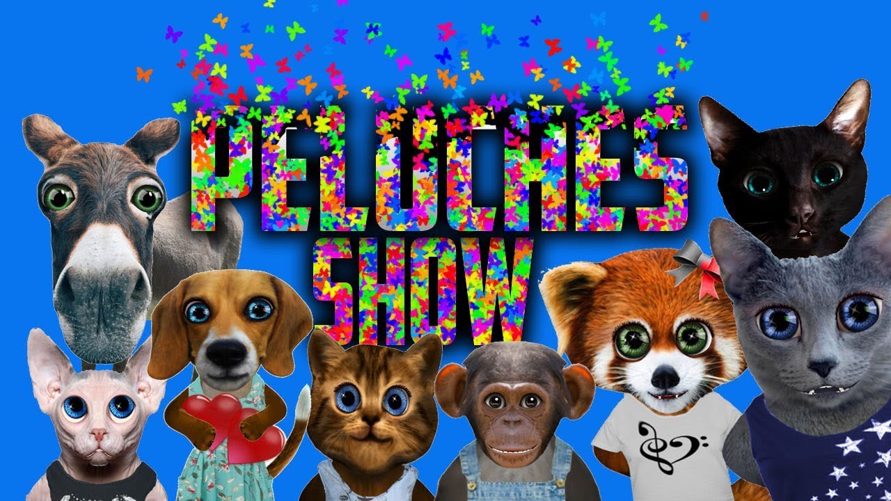 Video presentacion Peluches Show | trailer peluches show | videos ...